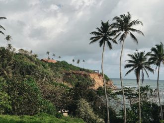 Ayurveda Retreat in Sri Lanka: Barberyn Beach Ayurveda Resort (Review)
