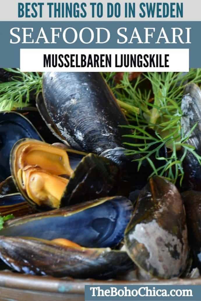 West Sweden Seafood Safaris: On Expedition at Musselbaren Ljungskile