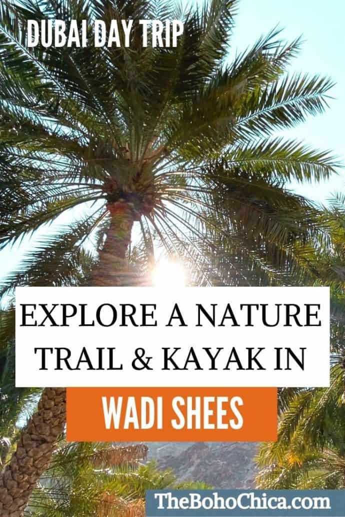 Wadi Shees: Explore Nature Trails and Go Kayaking on this Day Trip from ...