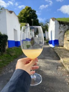 A Wine Tour of South Moravia in the Czech Republic