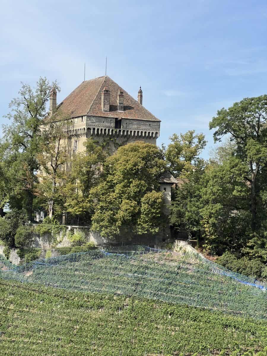 GoldenPass Express: Take the Scenic Route From Montreux To Interlaken ...